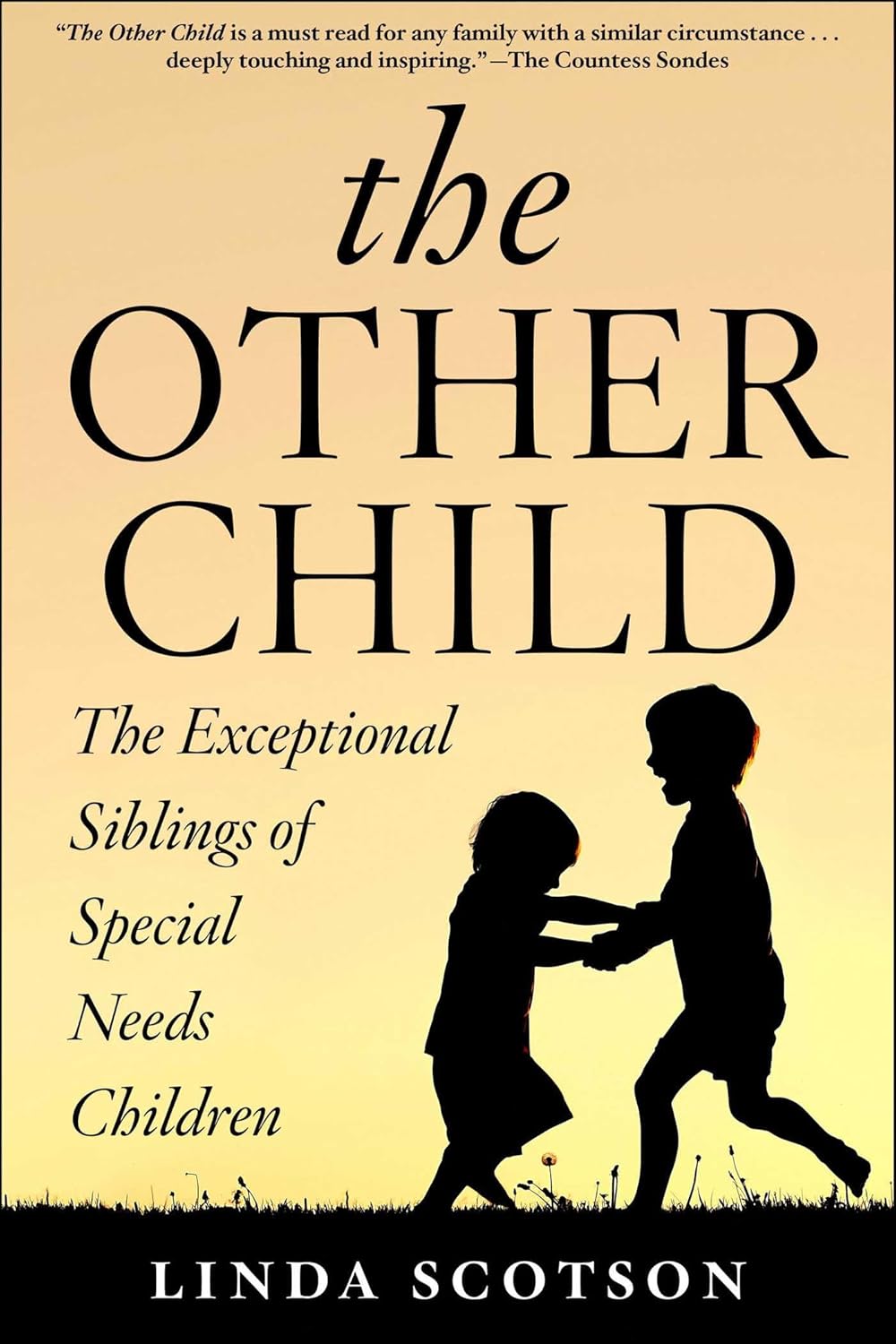 Buy Other Child: The Exceptional Siblings of Special Needs Children ...