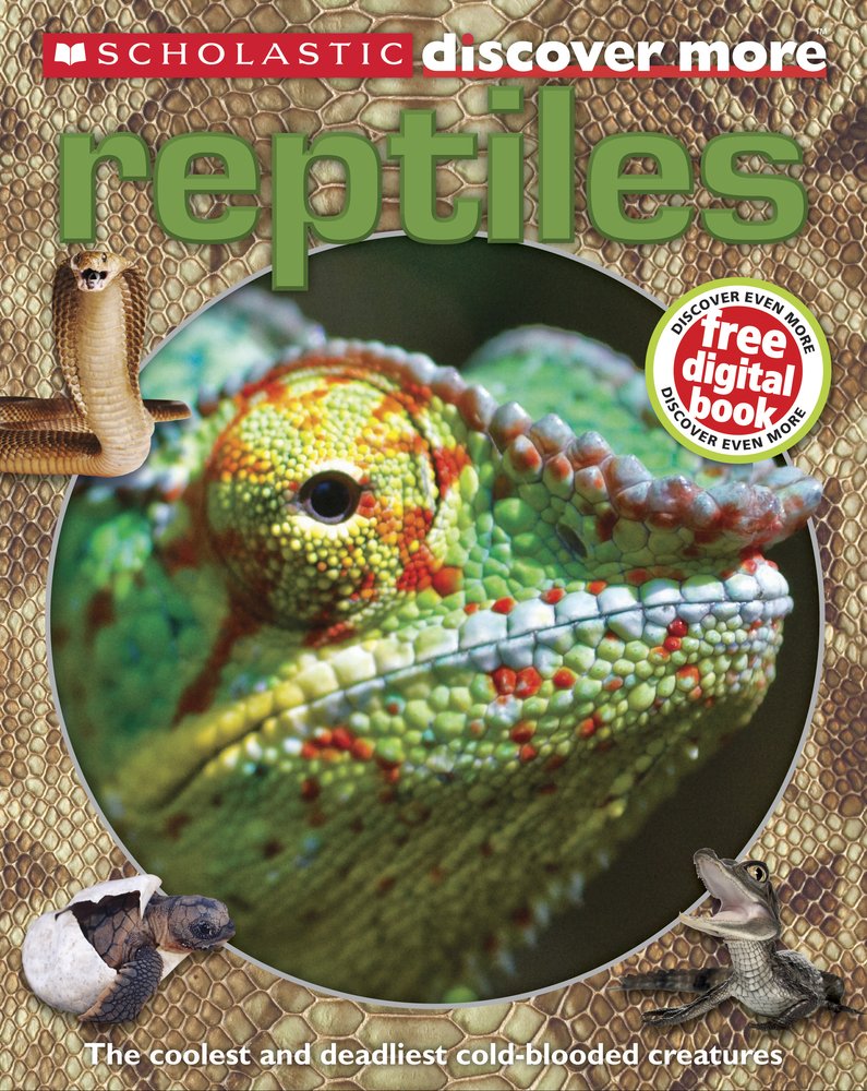 Reptiles: Arlon, Penny: 9781407138404: Amazon.com: Books