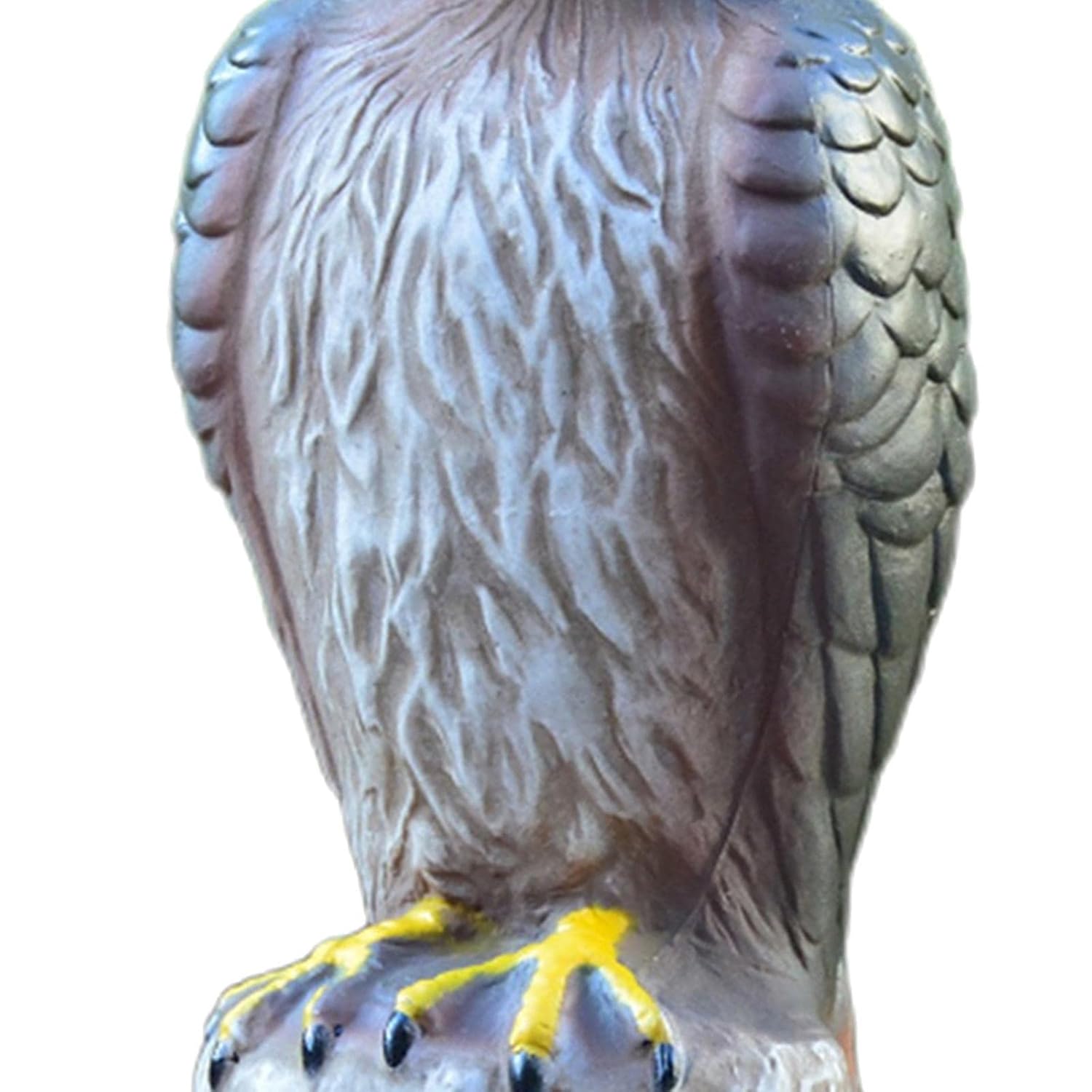 MSiwach Fake Hawk Decoy Statue Yard Garden Ornamental Outdoor Deterrent ...