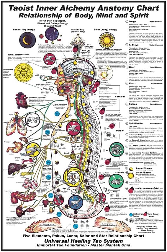 Amazon.com: Atoch Taoist Inner Alchemy Anatomy Chart Relationship of ...
