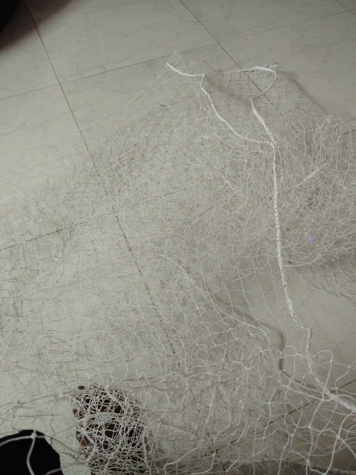 PIGEON CONTROL Anti Bird Net (8 feet x 12 feet),White : Amazon.in ...