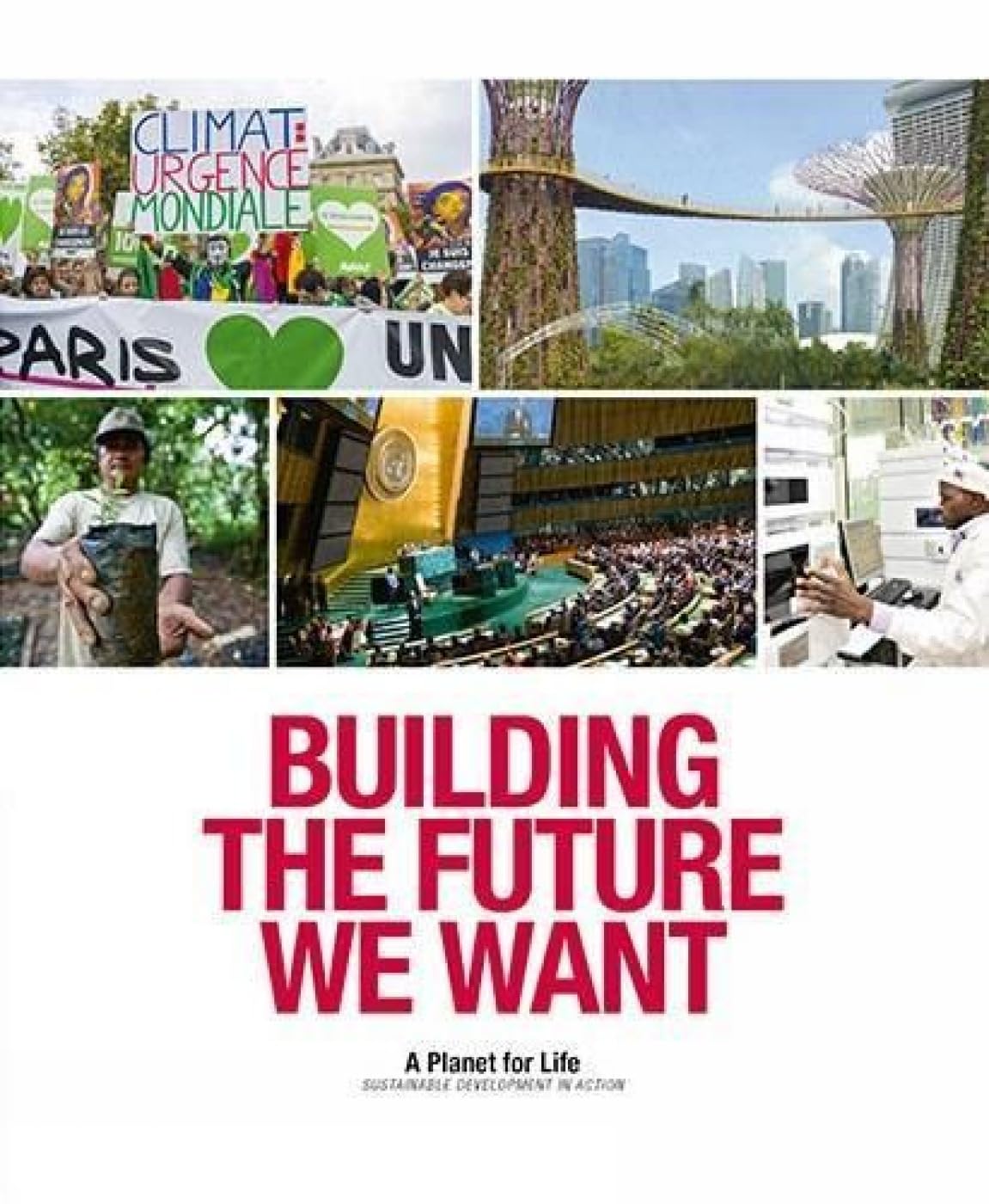 Buy Building the Future We Want Book Online at Low Prices in India ...