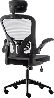 Requena Office Chair with Armrest, Ergonomic Desk Chair Swivel Mesh ...