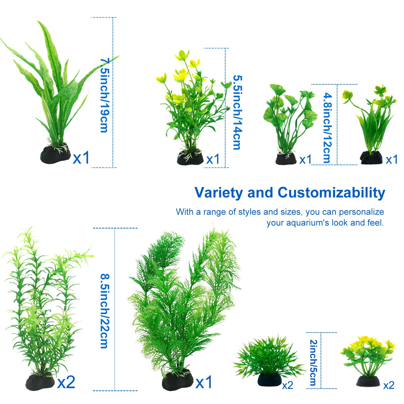 Underwater Sea Plants Names Marine Gardens: Types Of Plants Found In