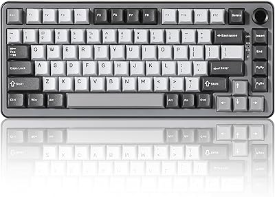 Amazon.com: AULA WIN68 HE PRO - Hall Effect Gaming Keyboard with ...
