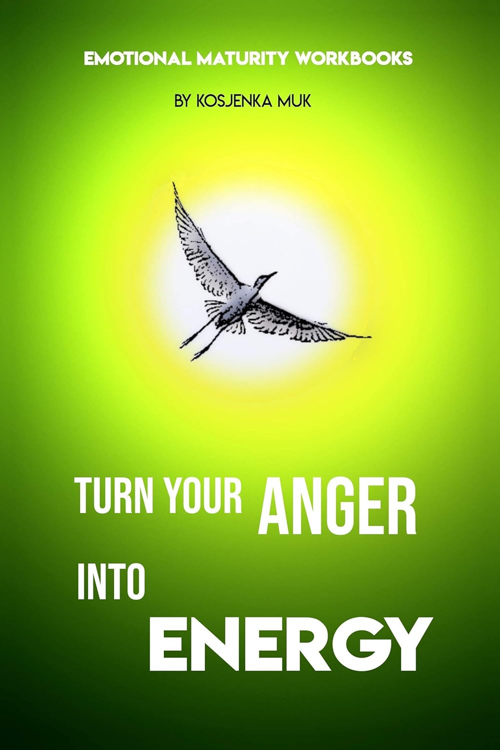 Amazon.com: Turn Your Anger Into Energy Workbook (Emotional Maturity ...