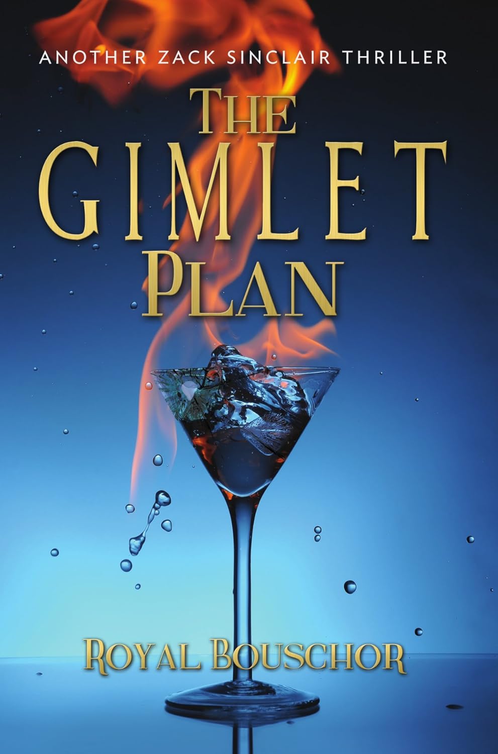 Amazon.com: The Gimlet Plan eBook : Bouschor, Royal: Books