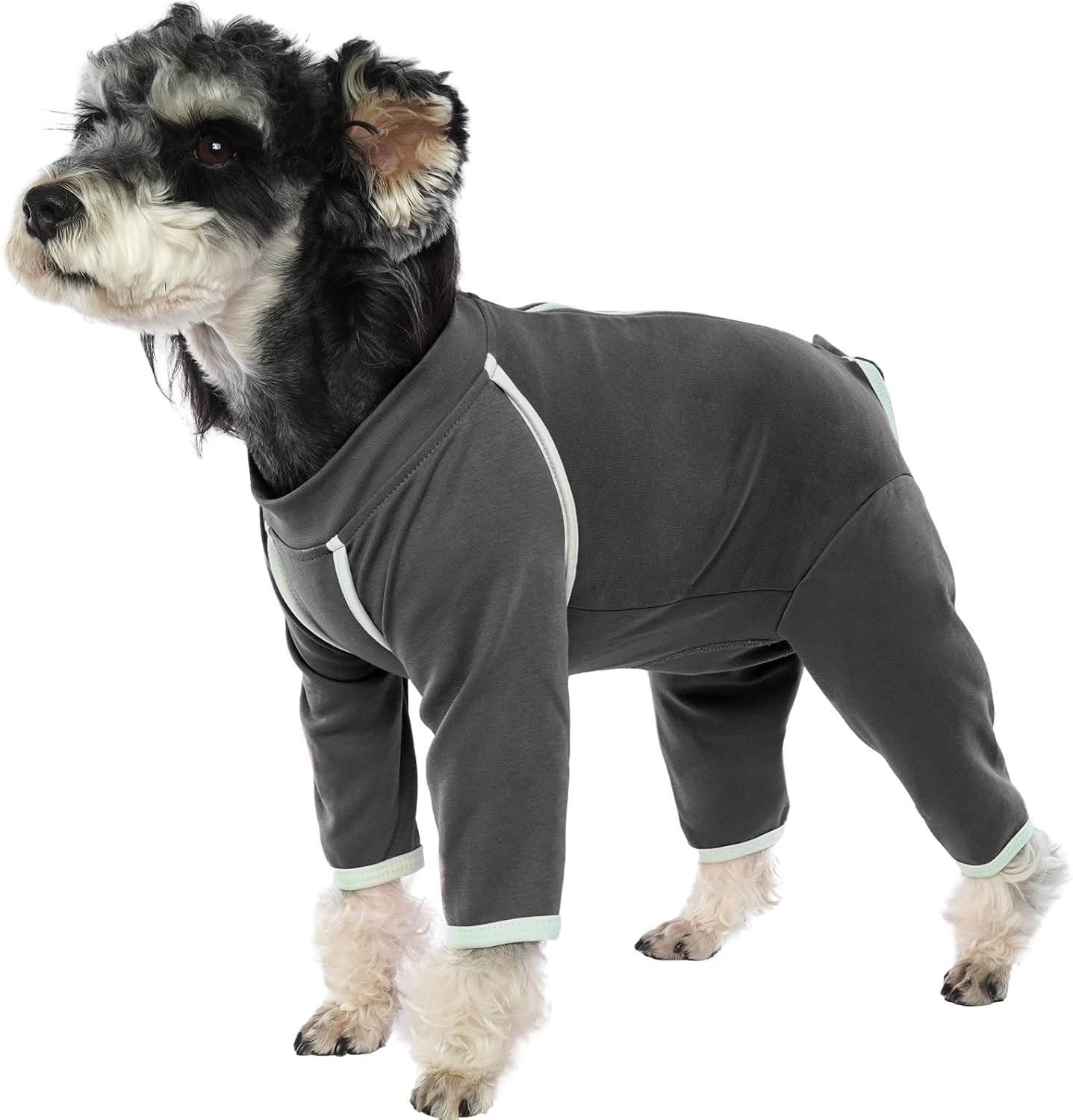 Amazon.com: FUAMEY Recovery Suit for Dogs, Long Sleeve Dog Onesie for ...