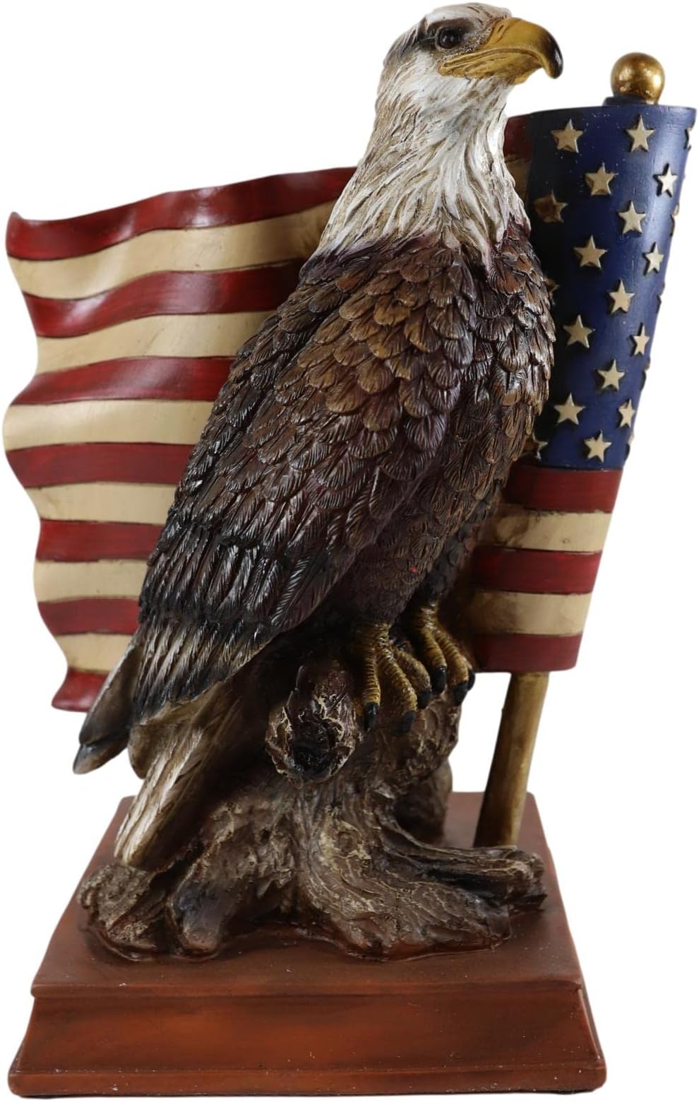 Amazon.com: Cosmos American Eagle with Flag : Home & Kitchen