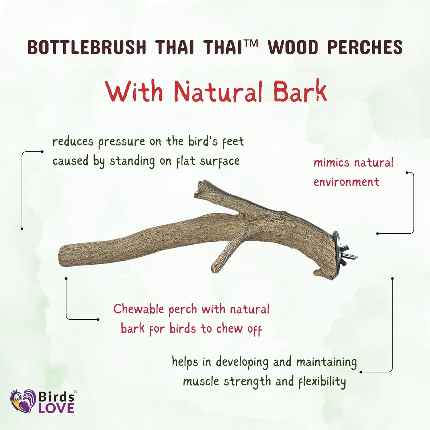 Snapklik.com : Birds LOVE Small Bottlebrush Multi-Branch Perch - Natural Wood Bird Perch - Bird ...