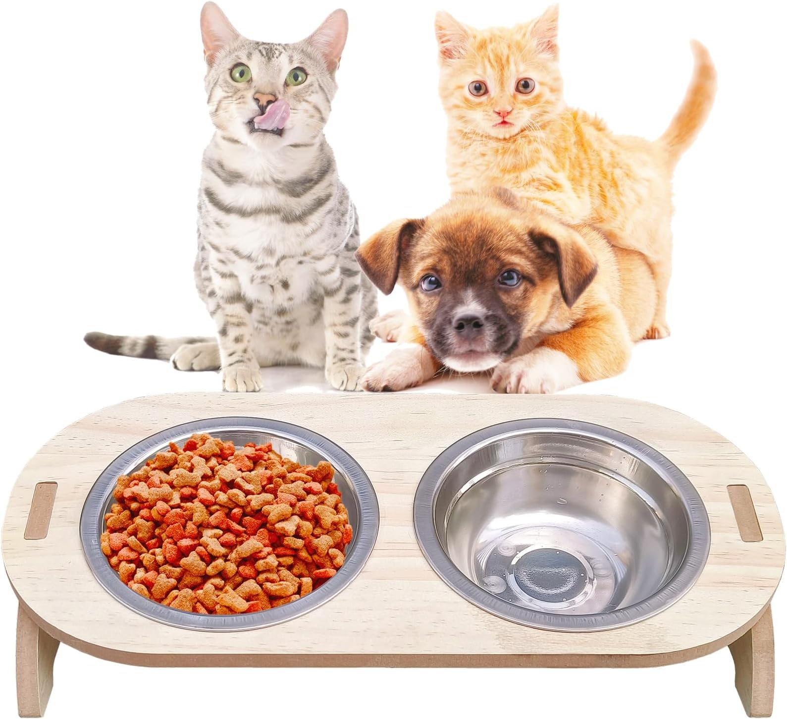 Amazon.com: Hnisya Elevated Cat/Puppy Bowls for Food and Water Feeding ...