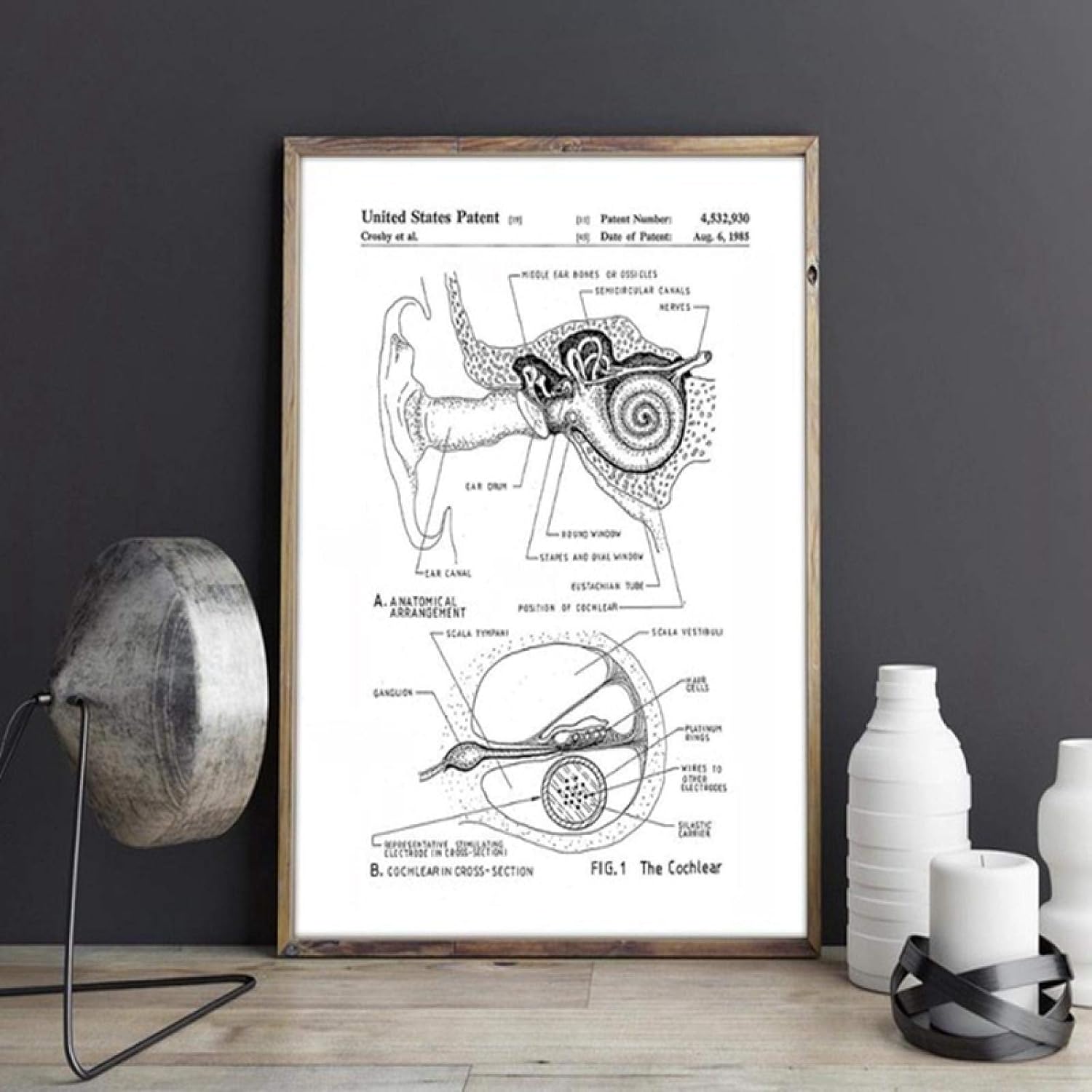 Amazon.com: Youhu Canvas Print Cochlear Implant Patent Ear Poster Inner ...