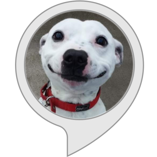 Amazon.com: Guess The Animal : Alexa Skills