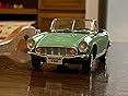 Amazon.com: Tamiya 24340-000 Dickie 300024340 - Plastikmodellbau 0. ...
