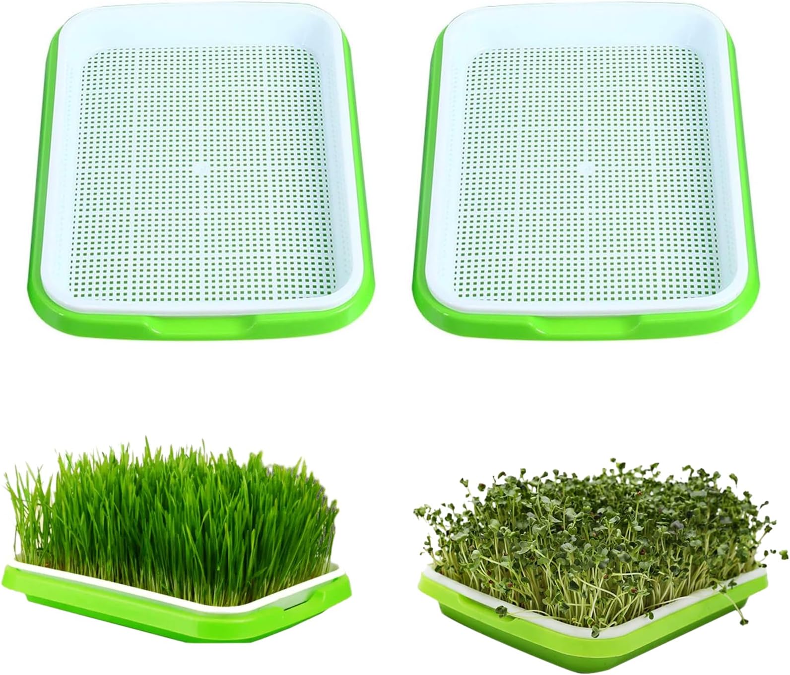 Homend Seed Sprouter Tray with Lid, Seed Germination Tray BPA Free ...