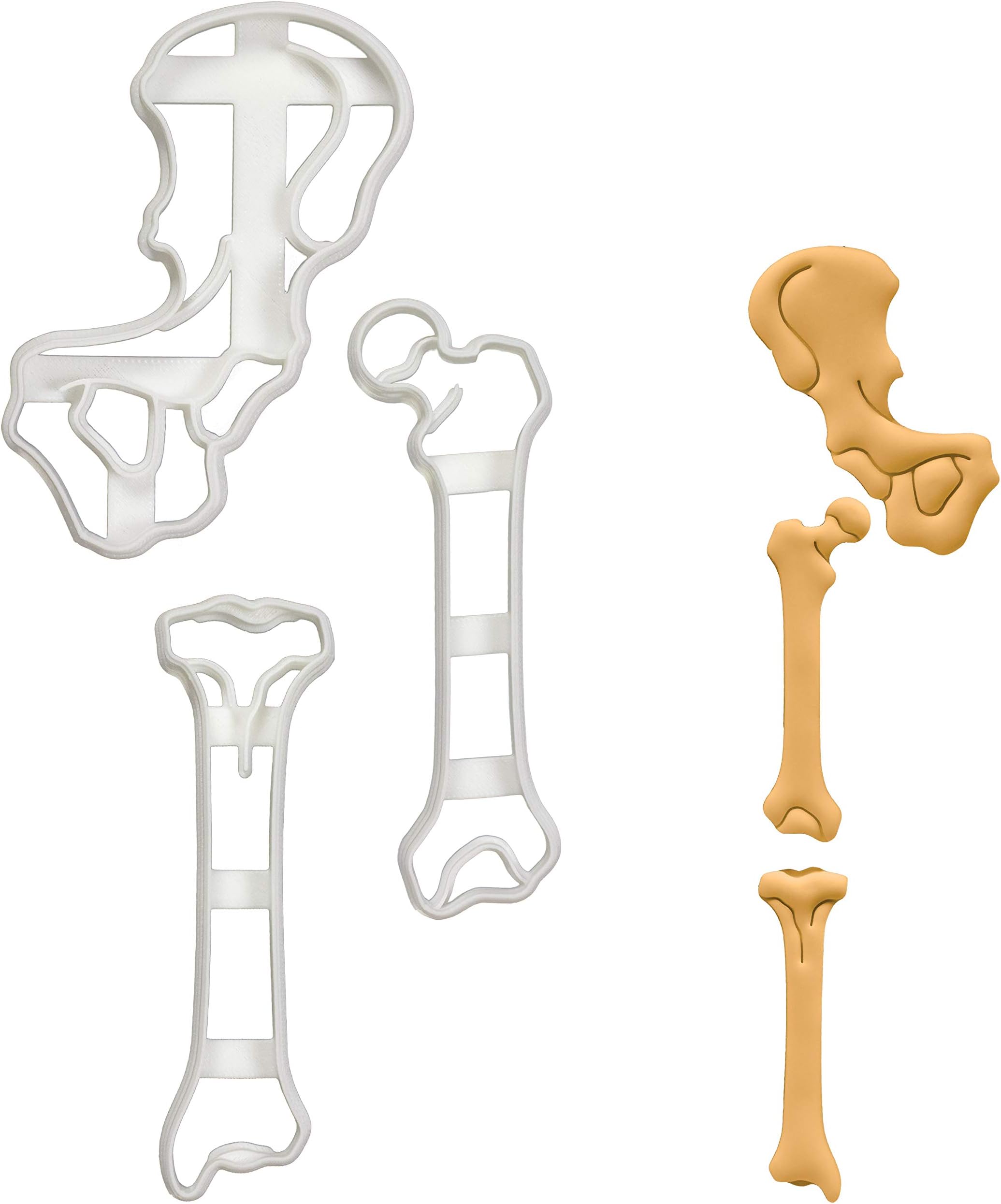 Amazon.com: Anatomical Human Hand Bone X-Ray cookie cutter, 1 piece ...