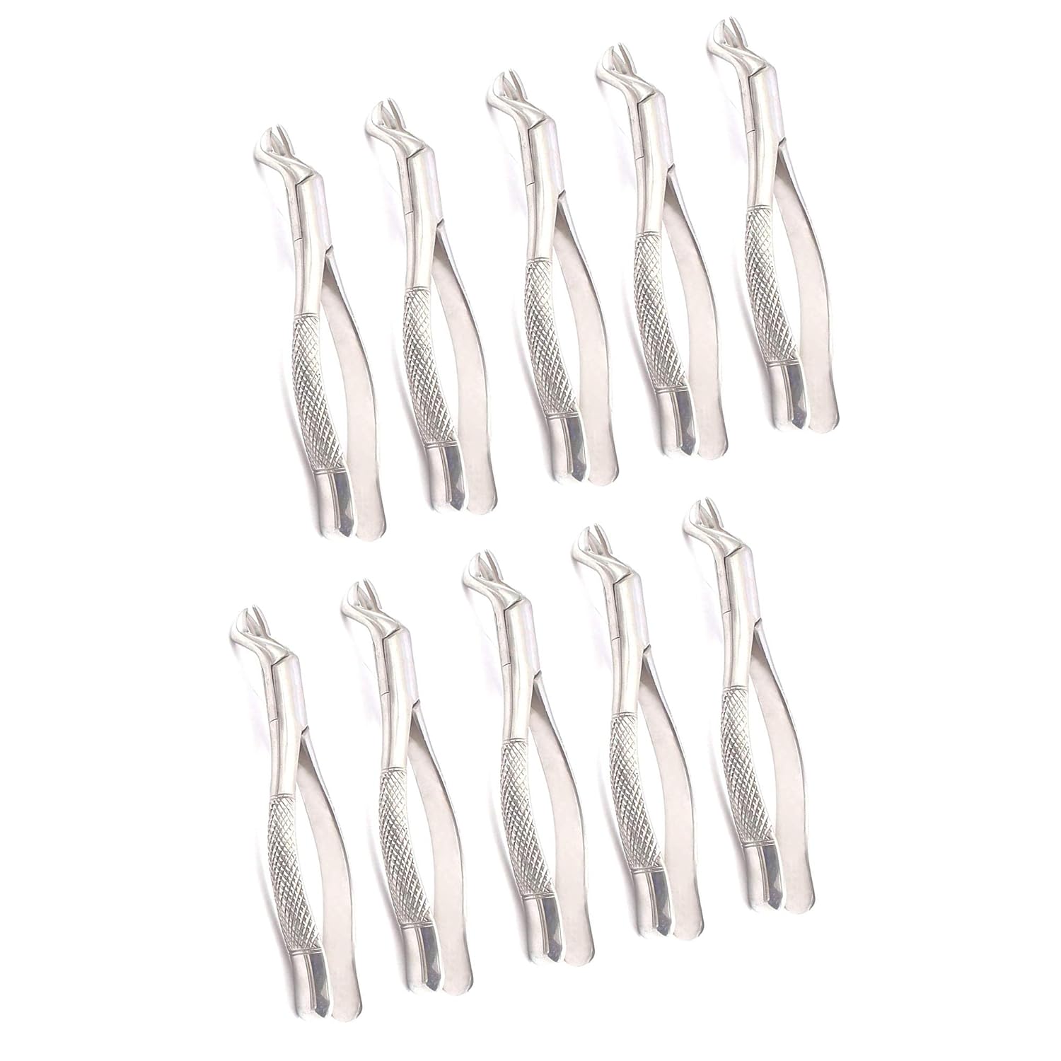 Amazon.com : OdontoMed2011® 10 PCS DENTAL EXTRACTING FORCEP 88R MOLAR ...