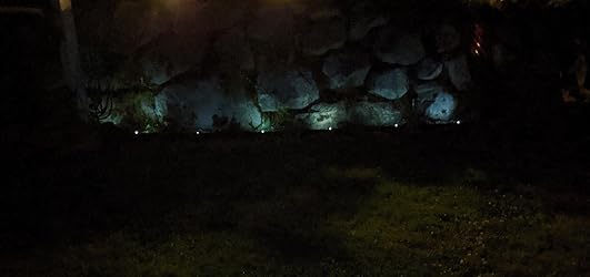 Amazon.com : FiberEdge - Solar LED Lighted Fiberglass Edging : Patio ...