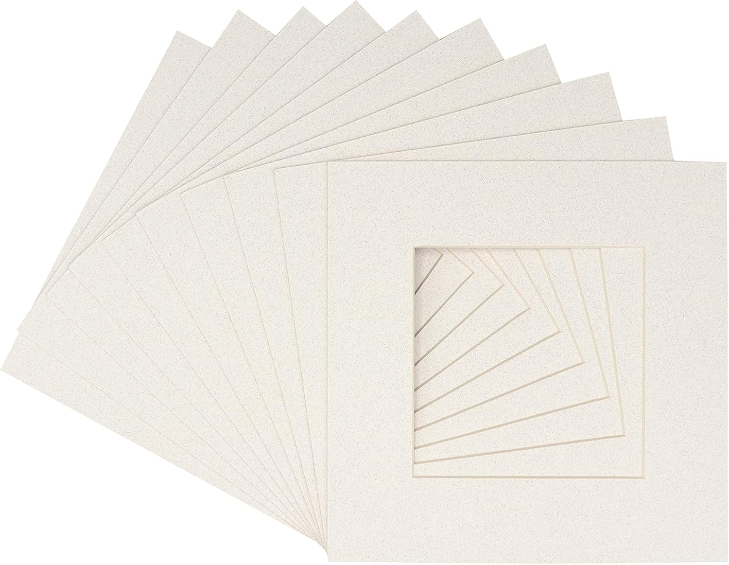 Amazon.com: CountryArtHouse Oyster Shell White Acid Free 16x16 Square ...