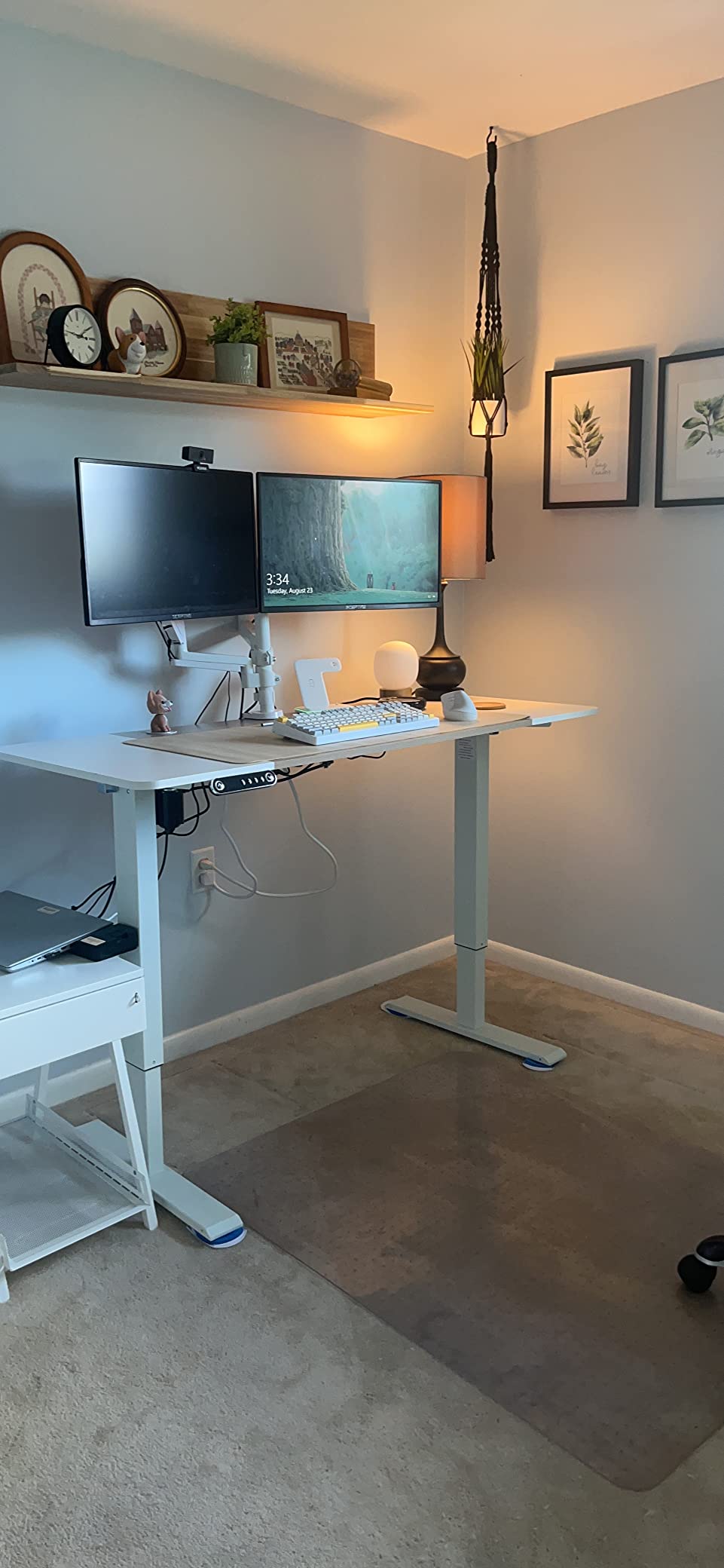 $40/mo - Finance Electric Height Adjustable Standing Desk, Radlove 55 ...