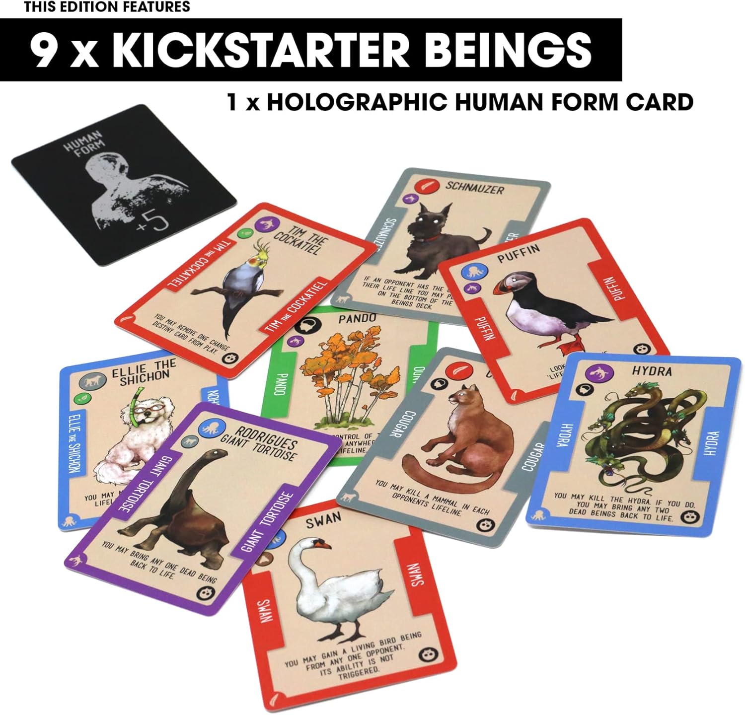 Doolittle Gaming Reincardnated - Turn-Based Deck Drafting Card Game for ...