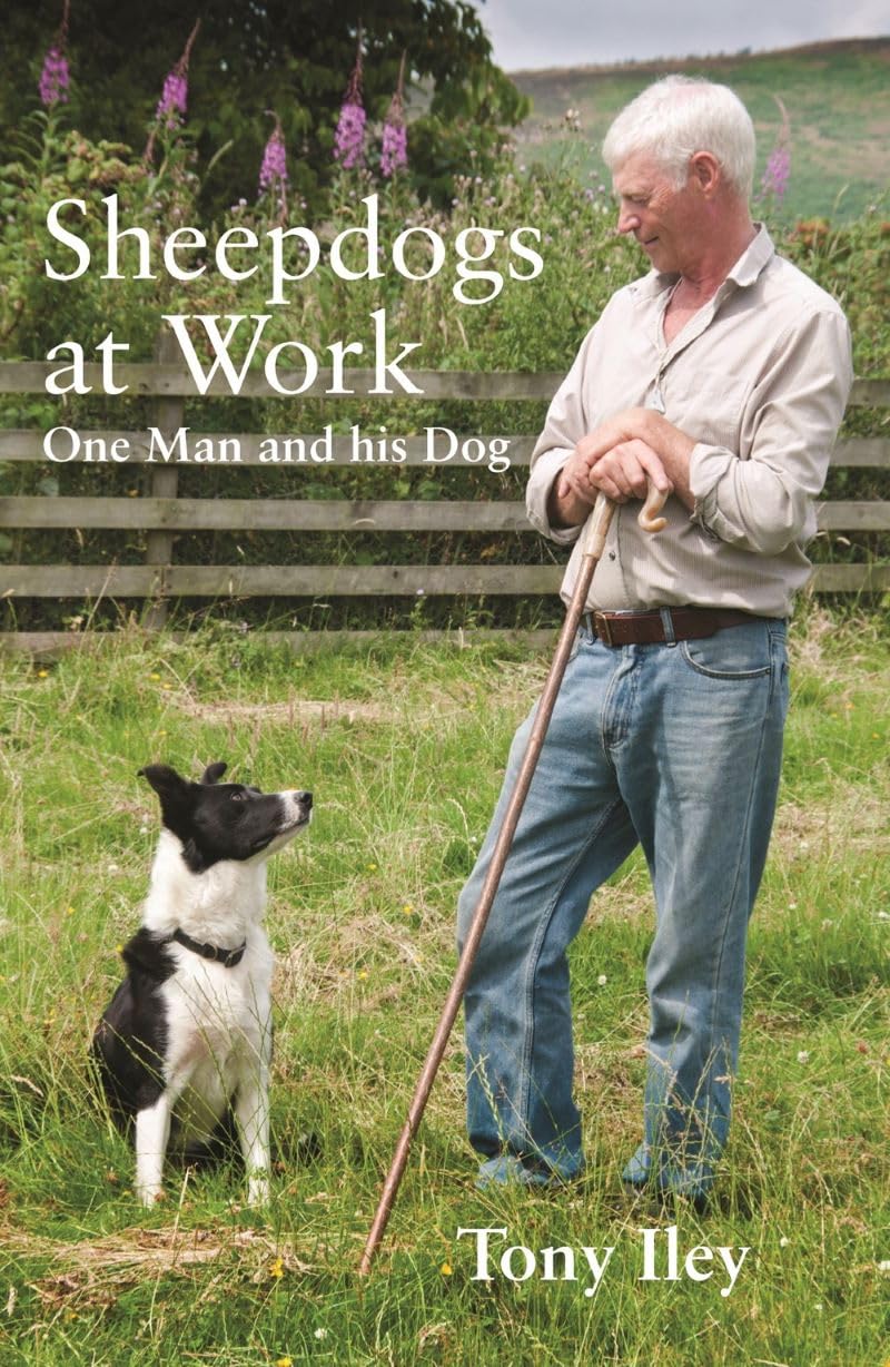 Sheepdogs at Work: One Man and his Dog: Iley, Tony: 9780857160201 ...