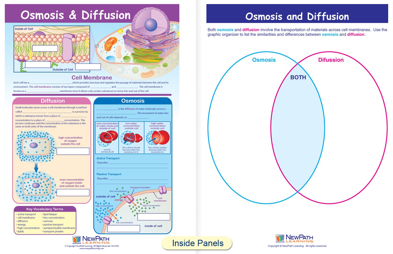 Diffusion Worksheets Amazon.com: Osmosis And Diffusion Visual Learning
