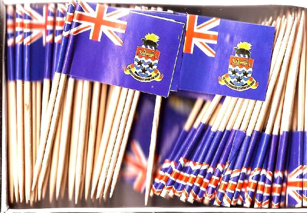 Amazon.com | Cayman Islands Mini Country Toothpick Flags, 100 Small ...