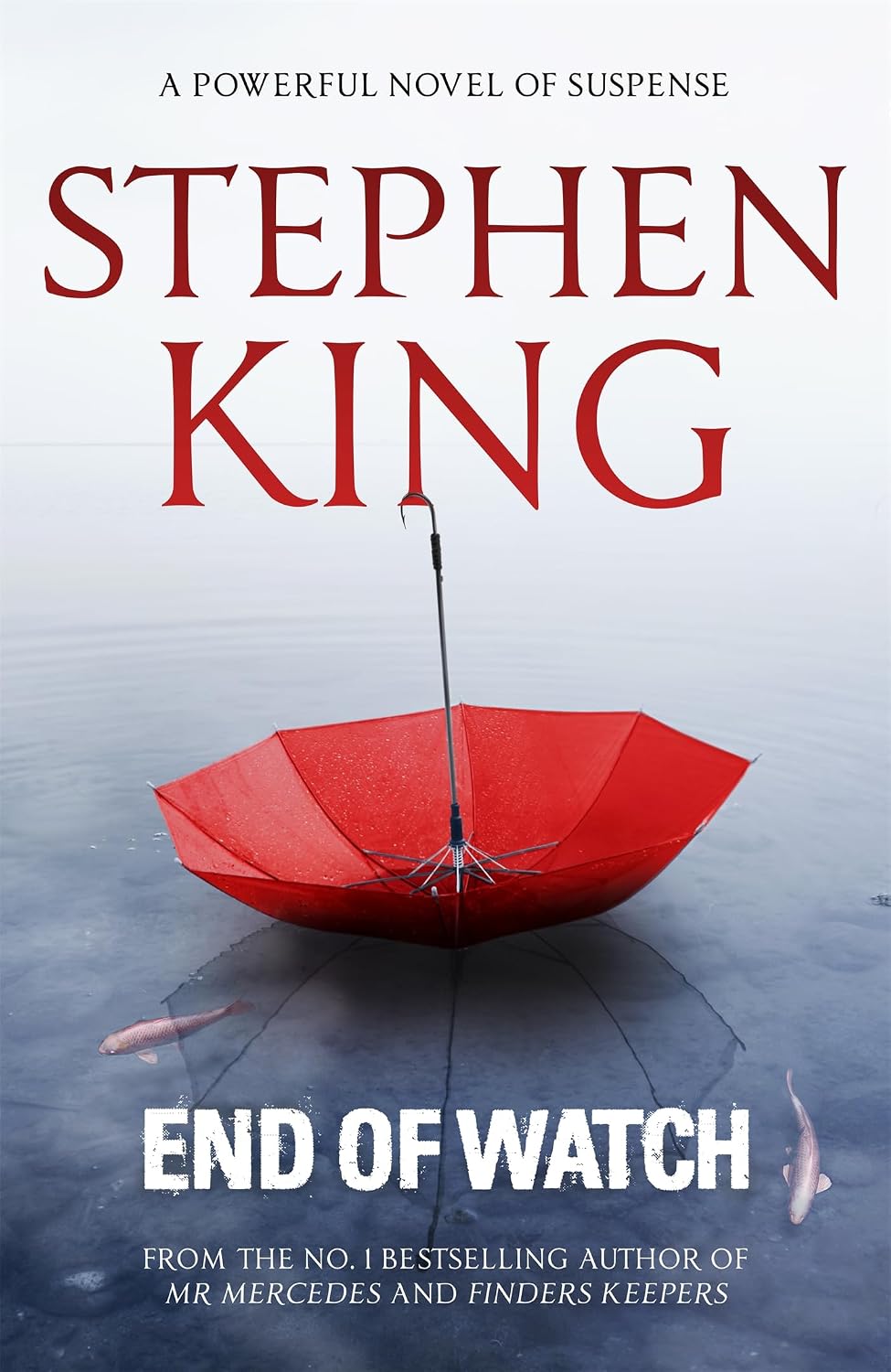 Amazon.com: End of Watch: 9781473634015: King, Stephen: Books
