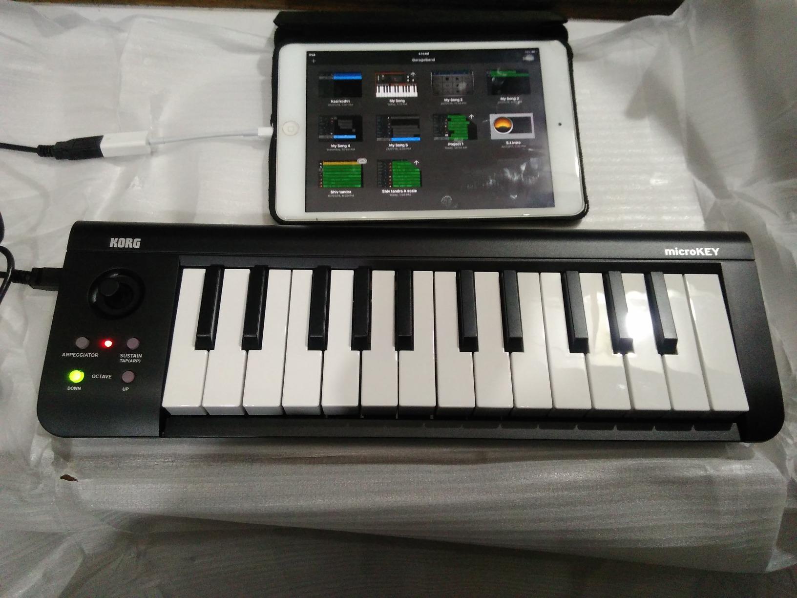 Korg MICROKEY25 Micro USB MIDI Keyboard : Amazon.in: Musical Instruments