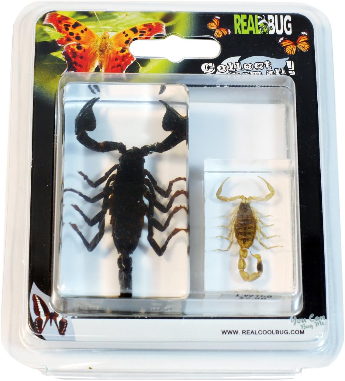 Amazon.com: REALBUG 2 Pc Scorpion Paperweight Collection : Office Products