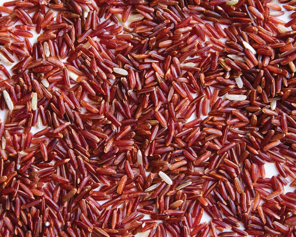 Amazon.com : Zursun Heirlooms, Himalayan Red Rice : Grocery & Gourmet Food