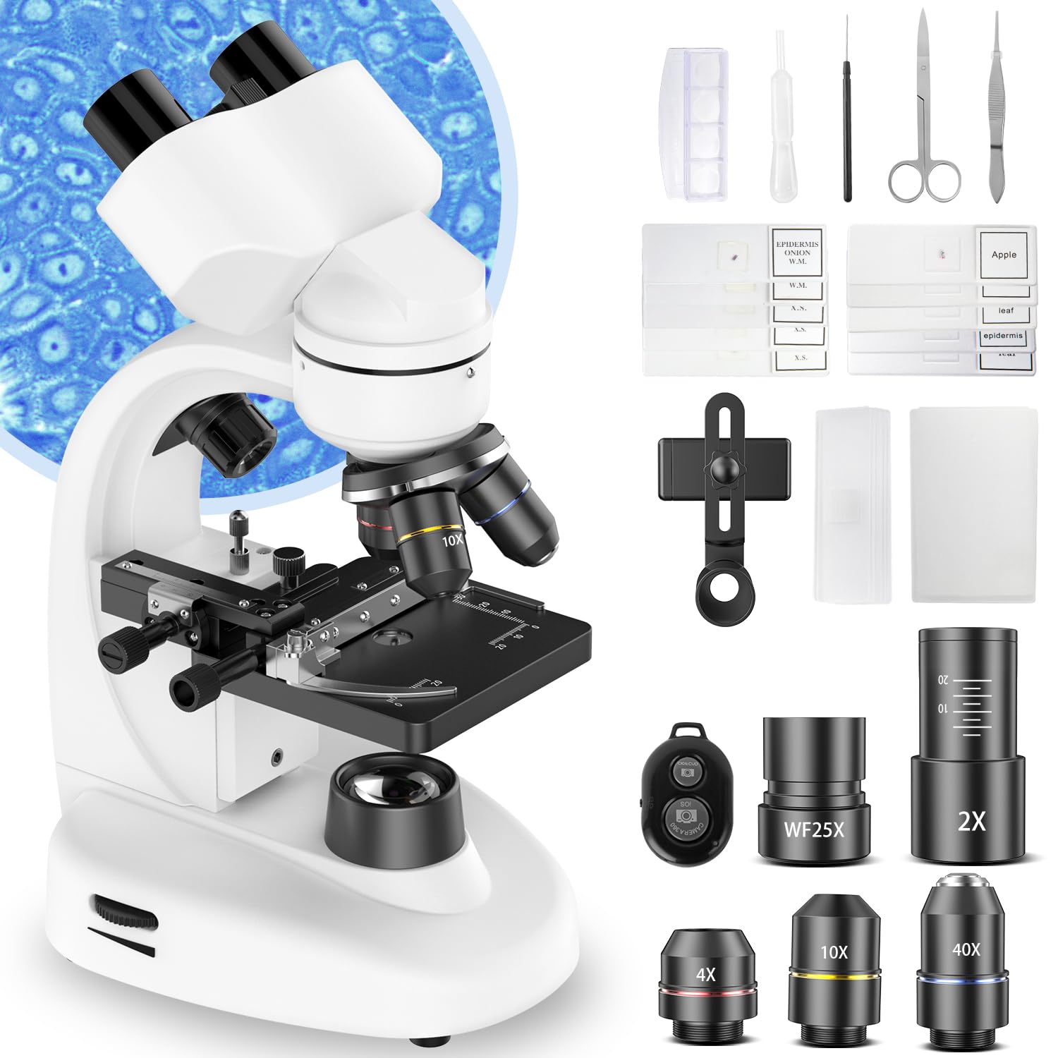 Amazon.com : Compound Binocular Microscope,40X-2500X Magnification ...