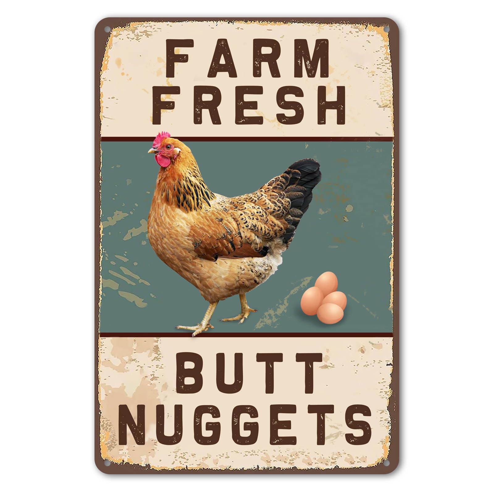Amazon.com: Bestylez Funny Chicken Coop Sign Chicken Sign - Farm Fresh ...