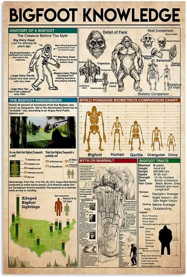 Amazon.com: Bigfoot Knowledge Wall Art Vintage Bigfoot Anatomy ...