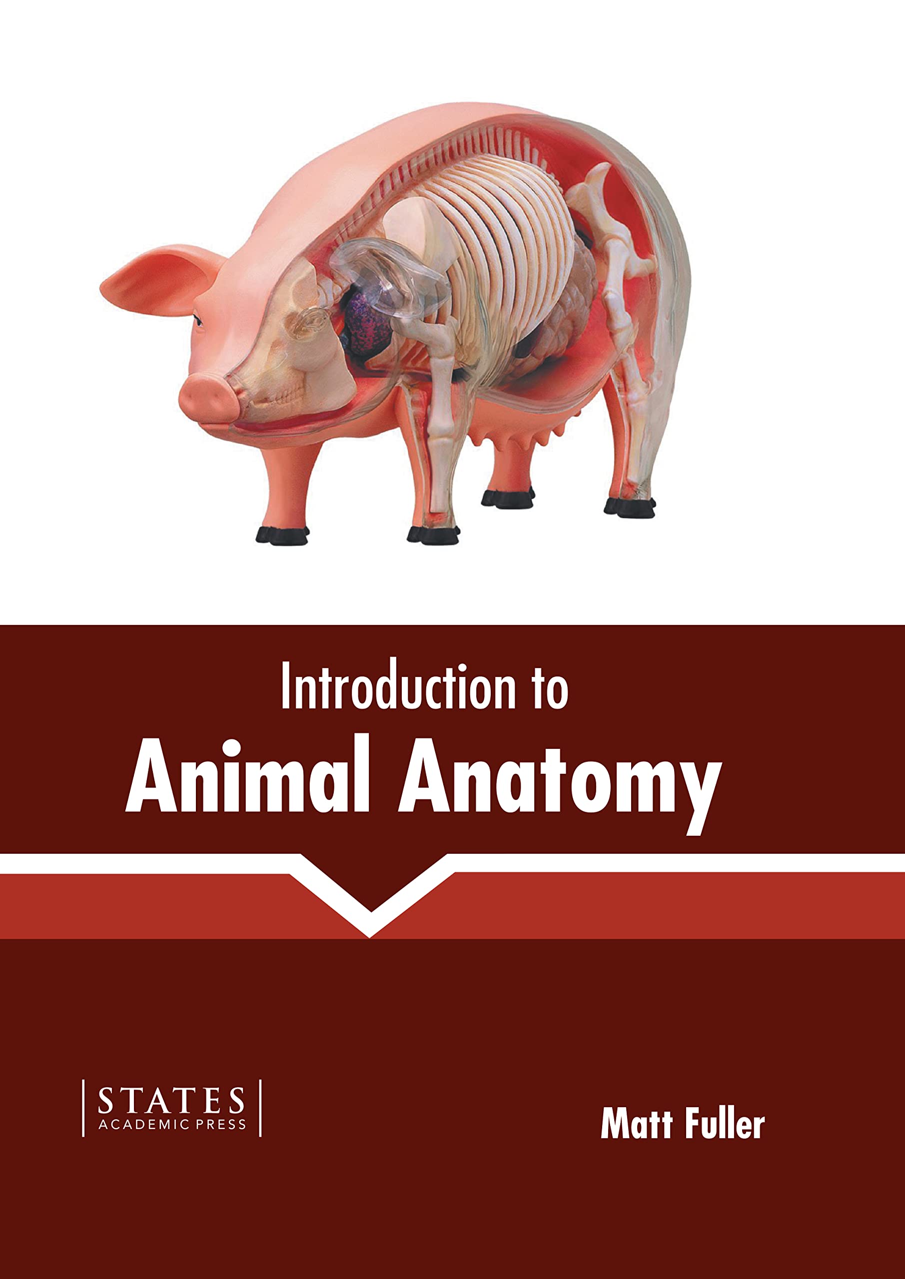 Introduction to Animal Anatomy: Fuller, Matt: 9781639893010: Amazon.com ...