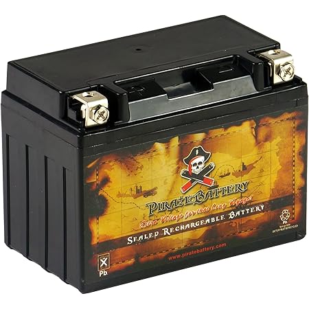 Amazon.com: Zipp Battery YTX4L-BS Maintenance Free Replacement Battery ...