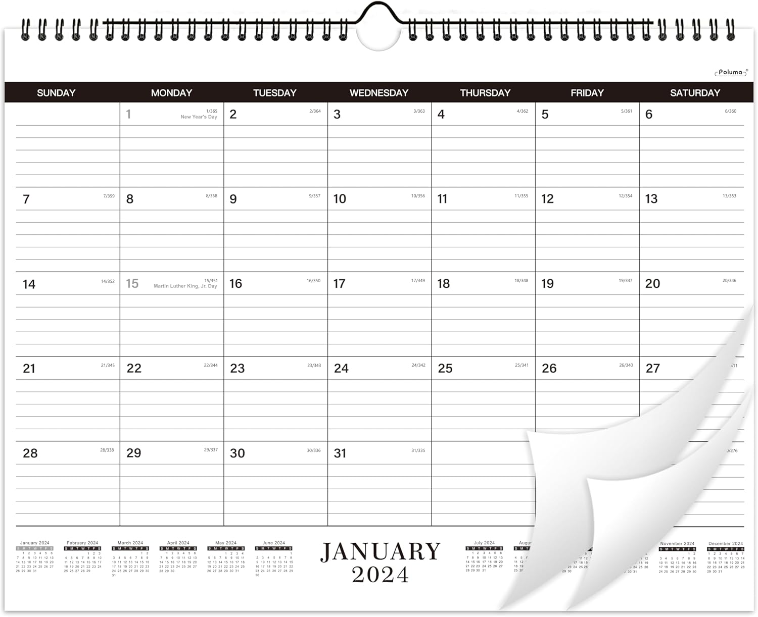 Amazon.com: 2024 Calendar - JAN - DEC 2024, 2024 Wall Calendar, 12 ...