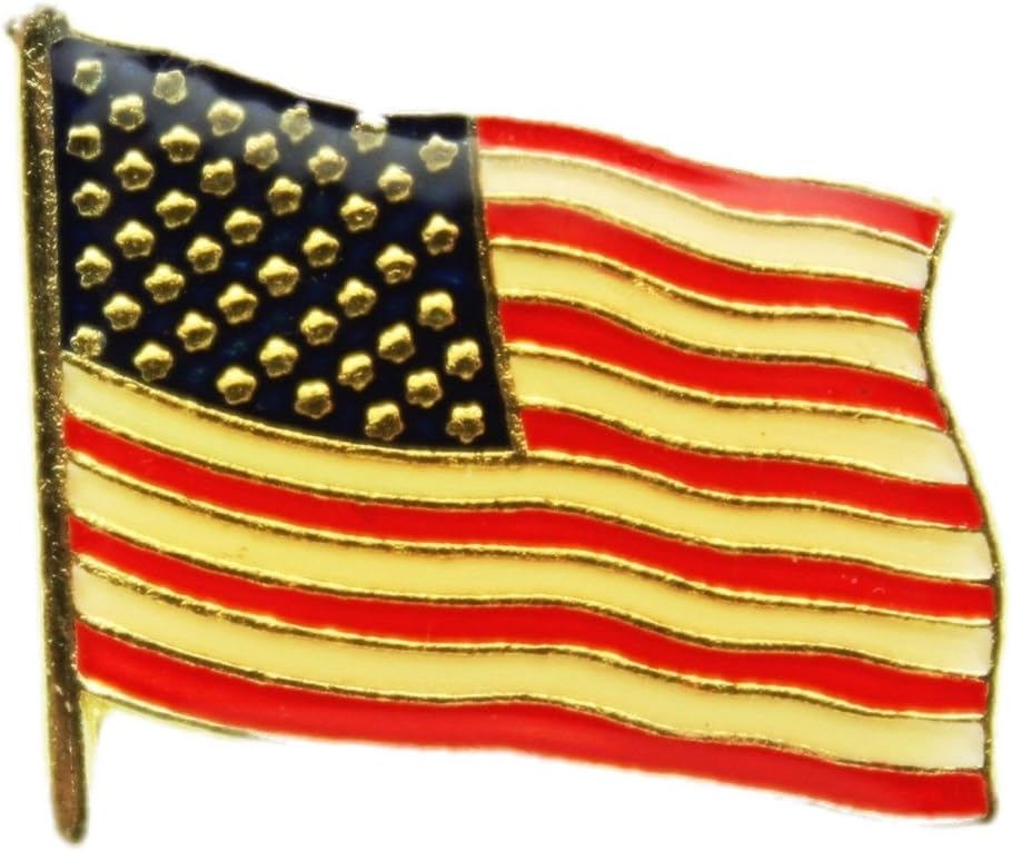 American Flag Stamped 1" Patriotic Lapel Pin AF3 : Amazon.ca: Clothing ...
