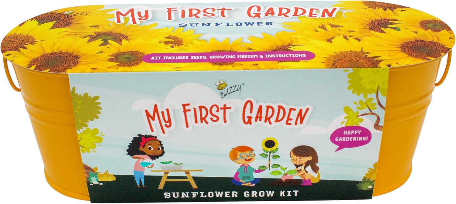 Amazon.com : BUZZY Seeds My First Garden Sunflower Grow Kit for Kids ...