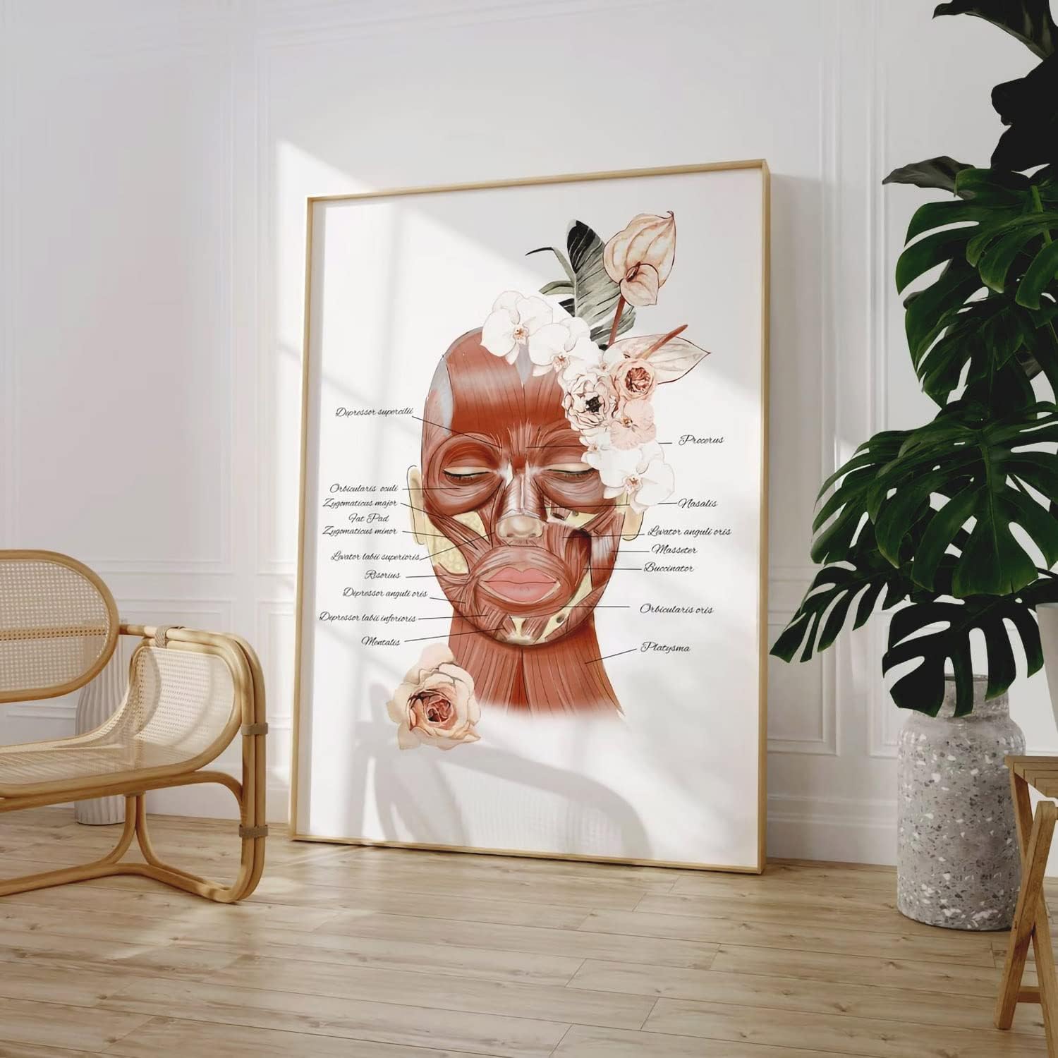 Amazon.com: Facial Muscles Print, Facial Anatomy Art, Plastic Surgery ...