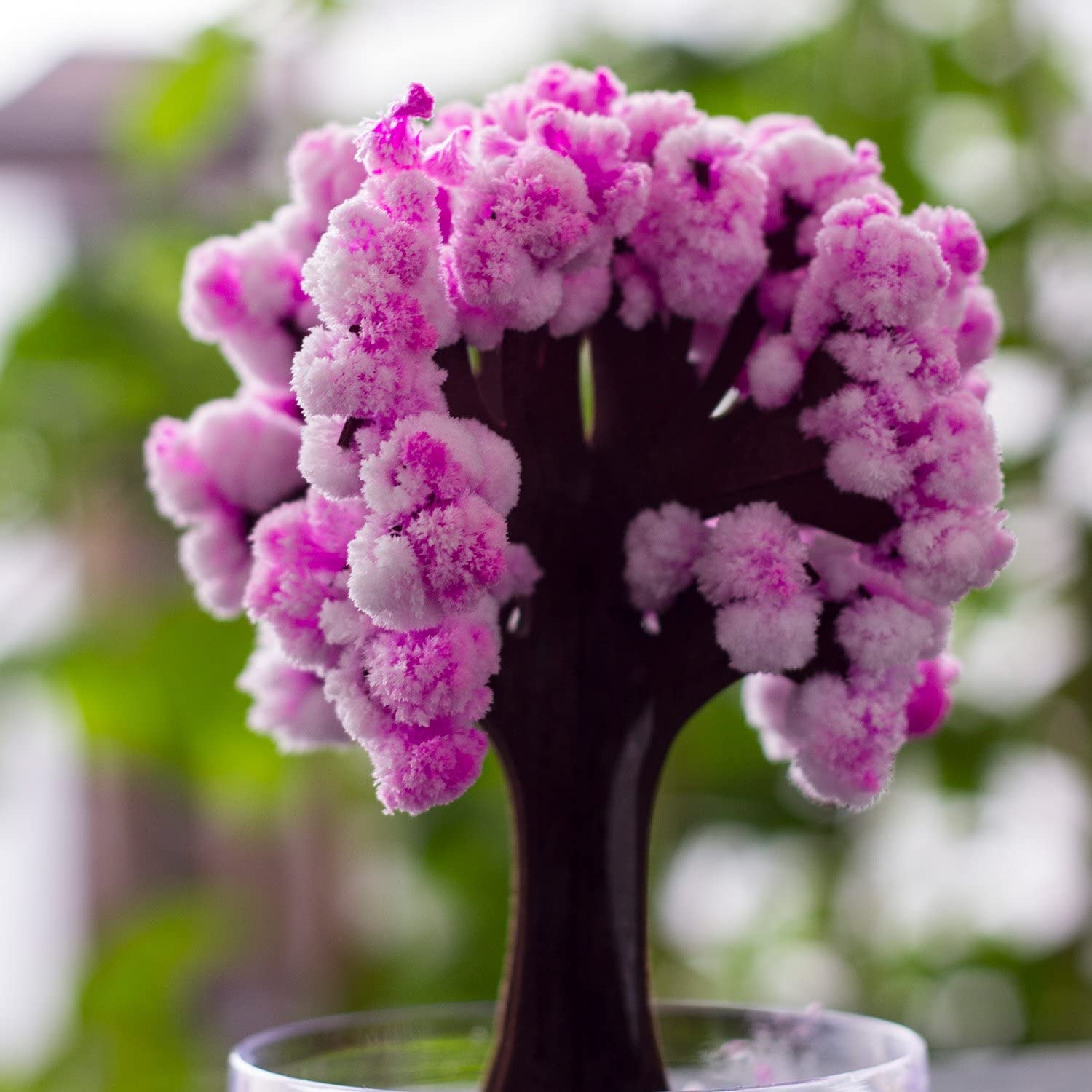 JOUETS HS MAGIC SAKURA Growing Tree DIY Crystal Tree Decor Blossom ...