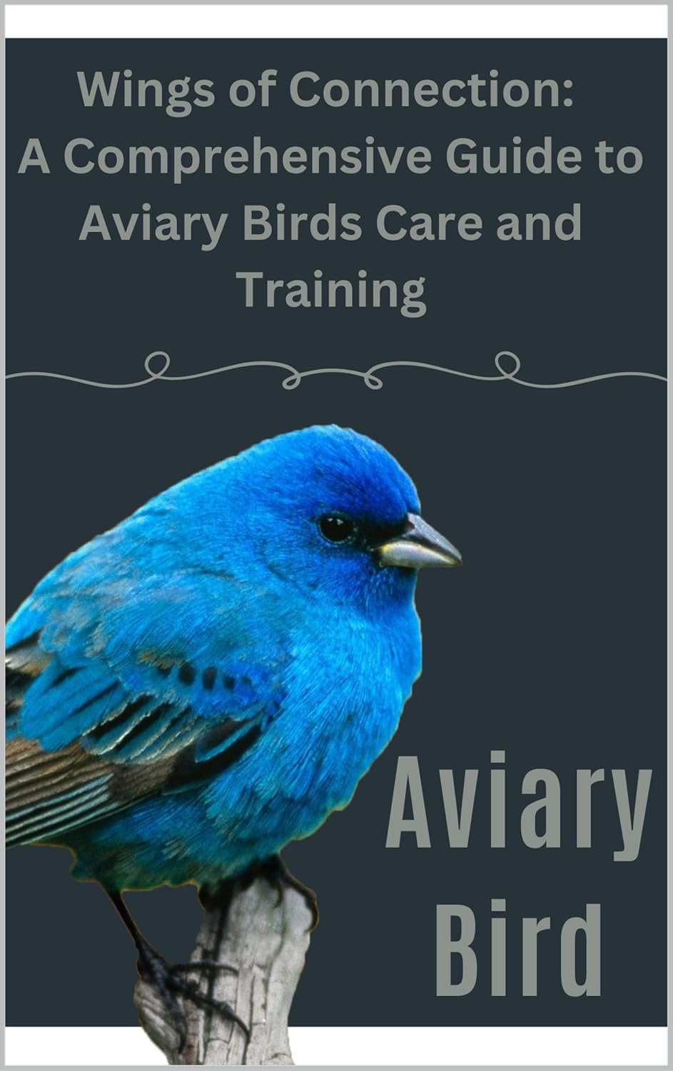 Amazon.com: Wings of Connection: A Comprehensive Guide to Aviary Birds ...
