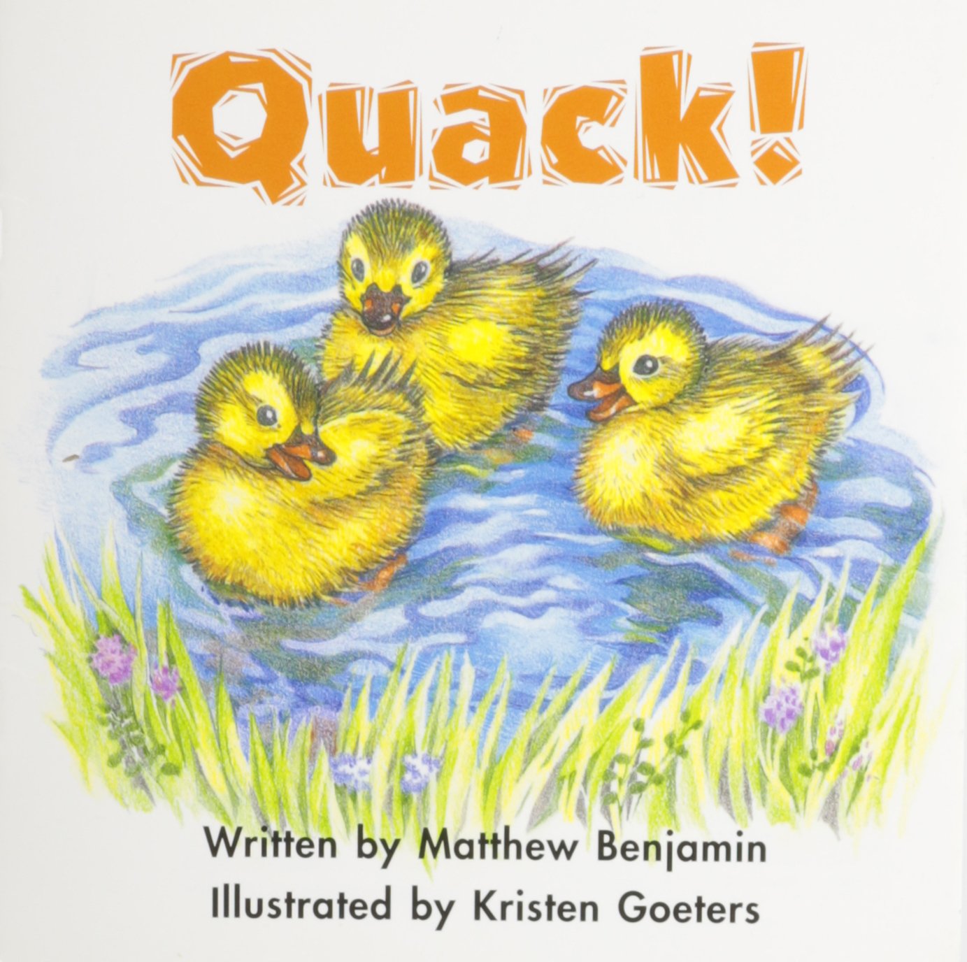 Amazon.com: Quack: 9780813607788: Modern Curriculum Press: Books