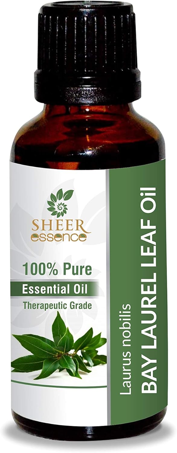 Amazon.com: Bay Laurel Leaf Oil- (Laurus Nobilis)- Essential Oil 100% ...