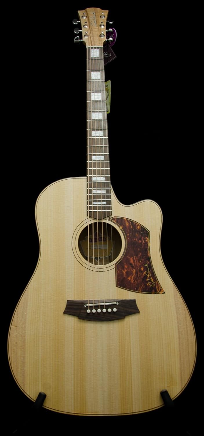 Amazon.com: Cole Clark "Fat Lady" FL2AC Maple w/ Hardshell Case ...