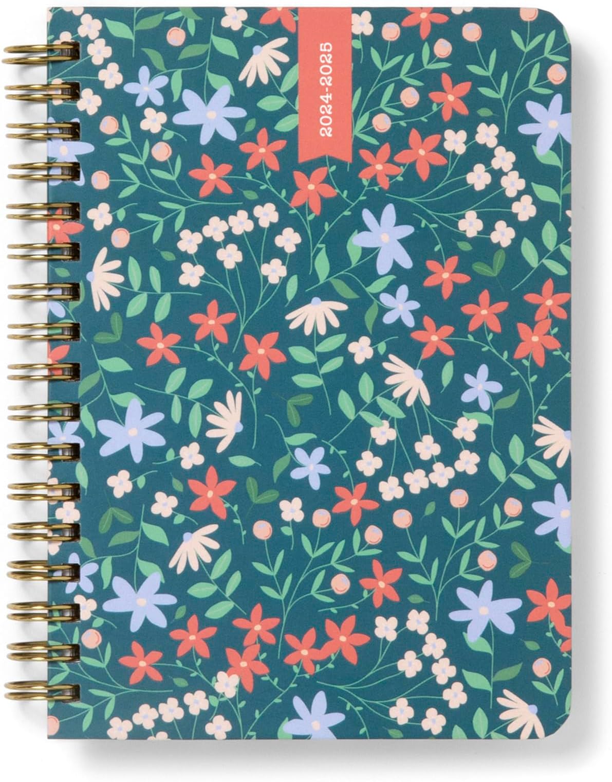 Letts of London Spring Valley A6 Academic 2024/2025 18-month week to ...