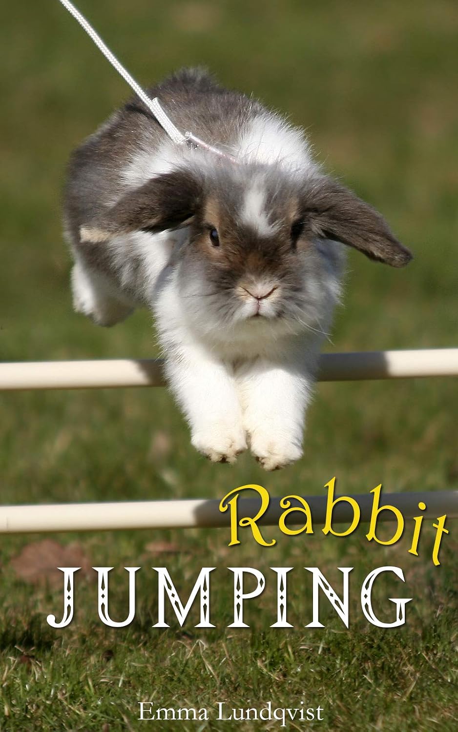 Rabbit Jumping: How to teach your rabbit to jump - Kindle edition by ...