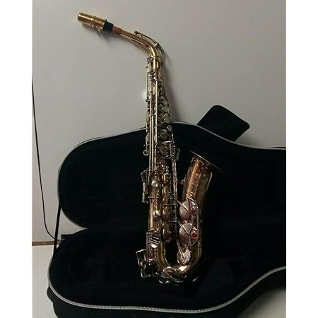Amazon.com: Selmer Bundy II Alto Saxophone w/Case : Musical Instruments