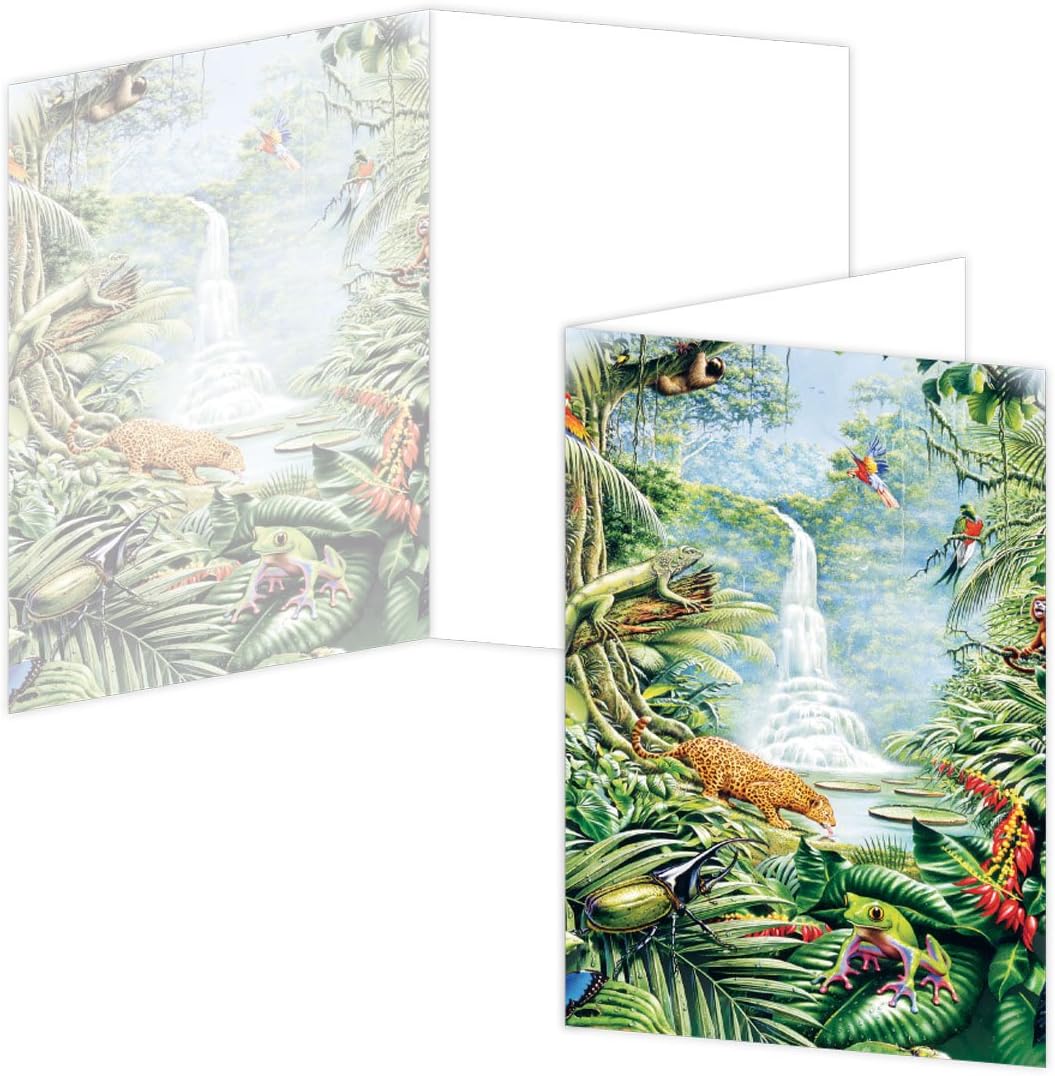 Amazon.com : ECOeverywhere Save the Rainforest Boxed Card Set, 12 Cards ...